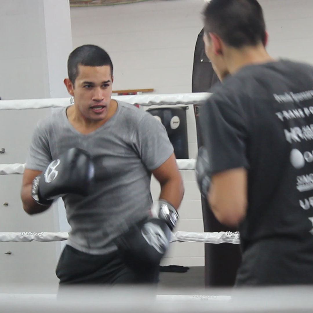 Corporate Training – Boxing 101 New Zealand